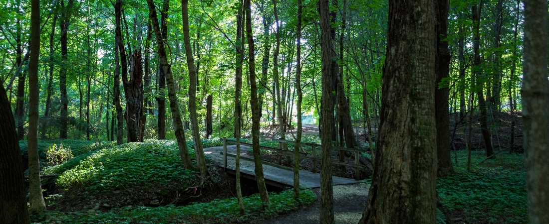 Canyon Ranch Wellness Resort Lenox, Massachusetts | The Spa Connection