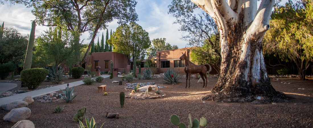 Canyon Ranch Wellness Resort Tucson, Arizona | The Spa Connection