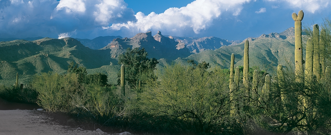 Canyon Ranch Wellness Resort Tucson, Arizona | The Spa Connection
