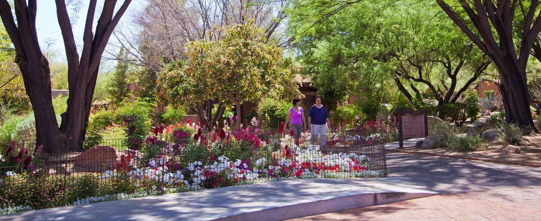 Canyon Ranch Wellness Resort Tucson, Arizona | The Spa Connection